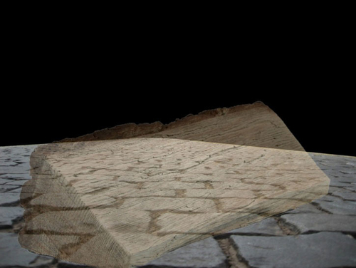Transparent wood?